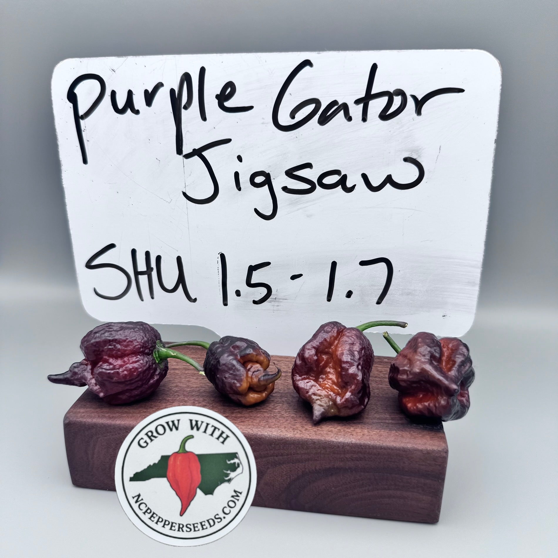 Purple Gator Jigsaw – NCpepperseeds