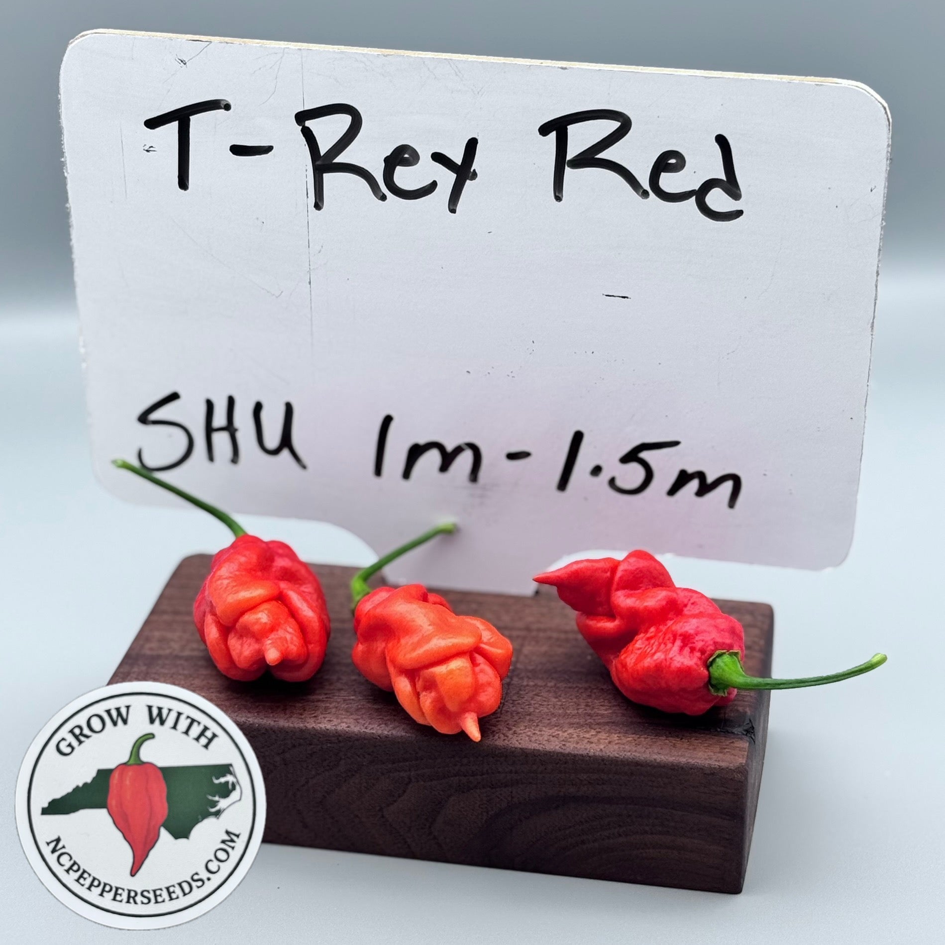 T-Rex Red – NCpepperseeds